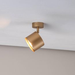 ARGON Deckenspot Chloe verstellbar einflammig, gold
