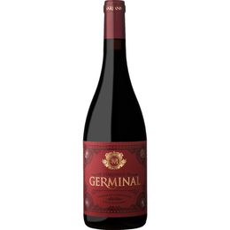 Marianne Germinal, WO Simonsberg-Paarl, Western Cape, 2019, Rotwein