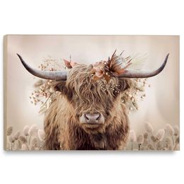 SONSTIGE Bild HIGHLANDER