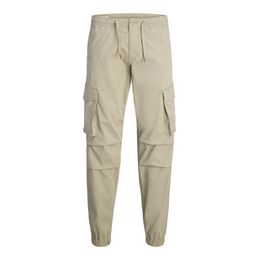 Jack & Jones Jack & Jones Cargo Pants 'Kane Noah' male Beige size XL