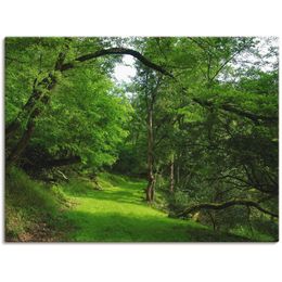 Wandbild Artland "Grüner Weg durch den Wald", grün, B:120cm H:90cm, Canvas, Leinwand, Bilder, als Leinwandbild, Poster in verschied. Größen