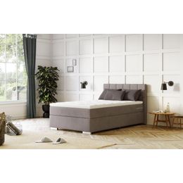 Boxspringbett COTTA, L:209cm, grau, Polyester, Komplettbetten, "Simba", Topseller wahlweise mit oder ohne Matratze und Topper bestellbar