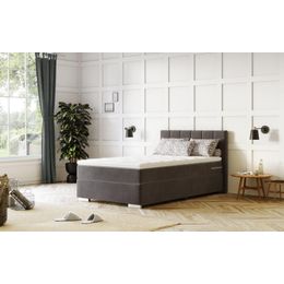Boxspringbett COTTA, L:209cm, grau, Polyester, Komplettbetten, "Simba", Topseller wahlweise mit oder ohne Matratze und Topper bestellbar