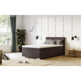 Boxspringbett COTTA, L:209cm, braun, Polyester, Komplettbetten, "Simba", Topseller wahlweise mit oder ohne Matratze und Topper bestellbar