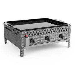 Gasgrill Tepro, B:60cm H:28,2cm T:54,5cm, silber, Garten, Grills, "Wurstbräter", mit Grillpfanne, emailliert