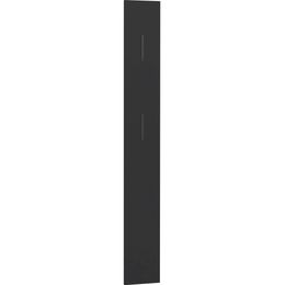 Garderobenpaneel FORTE, B:25cm H:189cm T:2,2cm, schwarz, Spanplatte, Garderobenpaneele, "Quayle"