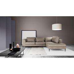 Ecksofa Trendmanufaktur "Luzi, wahlweise mit Schlaffunktion und Bettkasten, gem&uuml;tlich, L-Form", grau (cloud gray), Sofas, Damen, B/H/T: 264cm x 80cm x 203cm, Samtvelours, Ottomane rechts,mit Schlaffunktion,mit Bettkasten, 100% Polyester, Ecksofa, Designsofa mit Ottomane, Metallf&uuml;&szlig;e schwarz, Breite 264 cm, B:264cm H:80cm T:203cm