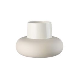 Asa vase, champignon