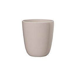 Asa becher, tarama