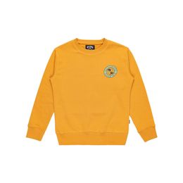 Sweatshirt Billabong "Foundation", Kinder, Gr. L, gelb (honey), [Hauptstoff] 55% Baumwolle, 25% Baumwolle, 20% Polyester, Sweatshirts