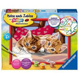 Ravensburger Malen-nach-Zahlen Zwei Schmusekätzchen mehrfarbig