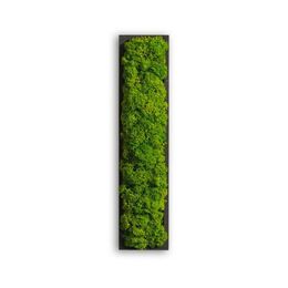 Xxxl Moosbild Stylegreen , Grün , Naturmaterialien , Kork , Pflanzen , 26x6x4 cm , einfache und schnelle Anbringung, pflegefrei – nicht gießen oder