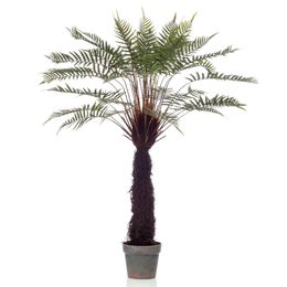 Emerald Kunstpflanze Dicksonia Baumfarne Im Topf 125 Cm