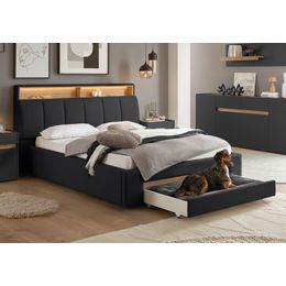 Polsterbett Inosign "CiTY/GiRON,, gepolstertes Stauraumbett, mit LED Beleuchtung", grau (anthrazit), B:170cm H:110cm L:235cm, Betten, Bettkasten mit Hundebett oder als Stauraum, klappbare Kopfteile