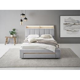 Polsterbett Inosign "CiTY/GiRON,, gepolstertes Stauraumbett, mit LED Beleuchtung", grau (hellgrau), B:170cm H:110cm L:235cm, Betten, Bettkasten mit Hundebett oder als Stauraum, klappbare Kopfteile