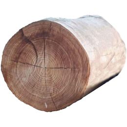 TETZNER & JENTZSCH T&J Baumstammbank/Baumstumpf/Sitz- oder Spielpoller ROBINIE naturbelassen, 100 cm, 27 cm
