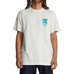 DC Shoes T-Shirt »Watch And Learn« White Enzyme Wash L L Material: Baumwoll-Jersey [200 g/m2]