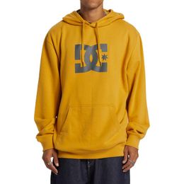 DC Shoes Kapuzensweatshirt »DC Star« Tinsel XXL XXL Material: Mittelschweres French Terry aus...