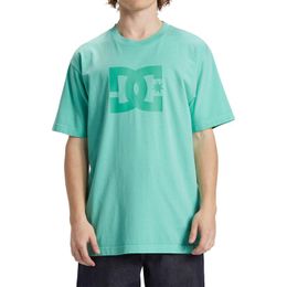 DC Shoes T-Shirt »DC Star Pigment Dye« Biscay Green Enzyme Wash XL XL Stoff: Baumwolle, Baumwoll-Jersey
