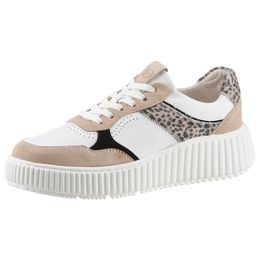 Tamaris Plateausneaker im Material-Mix, Freizeitschuh, Halbschuh, Schnürschuh beige-kombiniert 39 39 Trendiger Plateausneaker mit leichtem Leo-Look