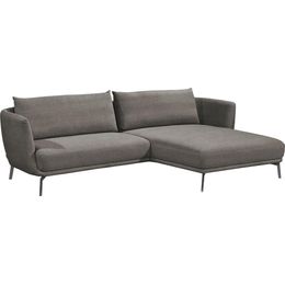 Sch&ouml;ner Wohnen Kollektion Ecksofa "Pearl, zeitlos und elegant, 5 Jahre Hersteller-Garantie, bequem", grau (stone), B:270cm H:71cm T:160cm, 100% Polyester, SCH&Ouml;NER WOHNEN-KOLLEKTION, Sofas, Ecksofa, L-Form, Ma&szlig;e (B/H/T): 270/71/160 cm, F&uuml;&szlig;e Metall