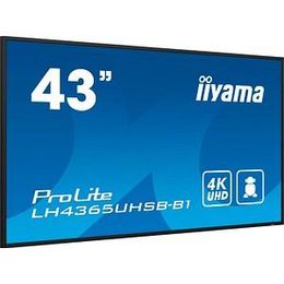 iiyama ProLite LH4365UHSB-B1 UHD-Display 108,0 cm (43,0 Zoll)