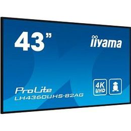 iiyama ProLite LH4360UHS-B2A UHD-Display 108,0 cm (43,0 Zoll)