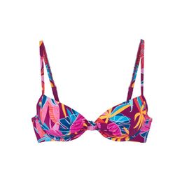 Buffalo Bikini Top female Purple size 36