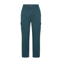 O`Neill O'neill Cargo Pants 'Essentials' male Blue size 38
