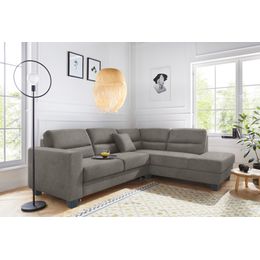 Ecksofa Trendmanufaktur, B:245cm H:85cm T:203cm, braun, Wohnzimmer, Sofas, "Chamber, zeitlos und modern, hoher Sitzkomfort, L-Form", wahlweise mit
