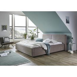 Meise Möbel Polsterbett MEISE.MÖBEL "Magnum", grau (taupe, taupe), B:192cm L:229cm, Betten, wahlweise mit Bettkasten