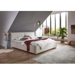 Meise Möbel Polsterbett MEISE.MÖBEL "Magnum", beige (beige, beige), B:212cm L:229cm, Betten, wahlweise mit Bettkasten