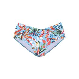 Venice Beach Bikini Bottoms female Blue size 38
