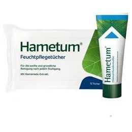 Hametum Salbe + Feuchttücher Set groß 12 St