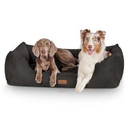 Knuffelwuff Hundebett Dreamline aus Velours schwarz XXXL