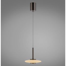 Paul Neuhaus PURE Vitrum Pendelleuchte LED Braun, 2-flammig