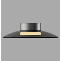 Paul Neuhaus PURE Moon Deckenleuchte LED Grau, 2-flammig