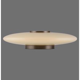 Paul Neuhaus PURE Vitrum Tischleuchte LED Braun, 1-flammig