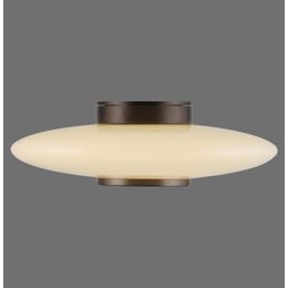 Paul Neuhaus PURE Vitrum Wand- und Deckenleuchte LED Braun, 1-flammig