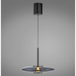 Paul Neuhaus PURE E-Vitrum Pendelleuchte LED Grau, 2-flammig, Fernbedienung