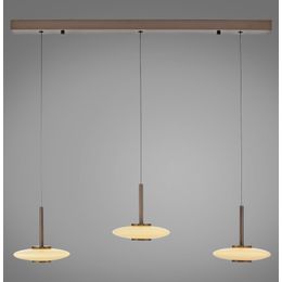 Paul Neuhaus PURE Vitrum Pendelleuchte LED Braun, 6-flammig