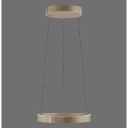 Paul Neuhaus PURE E-Clipse Pendelleuchte LED Bronze, 2-flammig, Fernbedienung