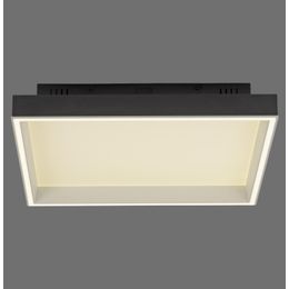 Paul Neuhaus Q-Magong Deckenleuchte LED Schwarz, 1-flammig, Fernbedienung