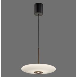Paul Neuhaus PURE E-Vitrum Pendelleuchte LED Braun, 2-flammig, Fernbedienung