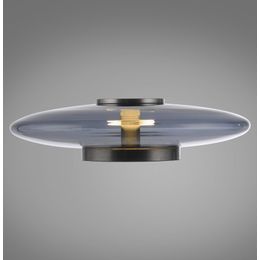 Paul Neuhaus PURE Vitrum Tischleuchte LED Grau, 1-flammig