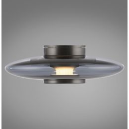 Paul Neuhaus PURE Vitrum Wand- und Deckenleuchte LED Grau, 1-flammig