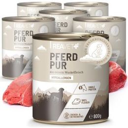 REAVET Hunde Nassfutter - Pferd PUR 6x800 g