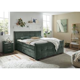 Boxspringbett ED EXCITING DESIGN "Gallina", grün (winter moss), B:205cm L:234cm, 100% Polyester, Komplettbetten, mit Bettkasten, inkl. Topper