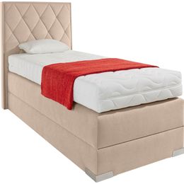 Boxspringbett, beige (dunkelbeige), B:100cm L:212cm, Bezug der Obermatratze: 100% Polyester, Bezug abnehm- und waschbar bis 60C;Unterbox und Kopfteil: Microvelours-Bezug (100% Polyester), Westfalia Schlafkomfort, Komplettbetten, Boxspringbett