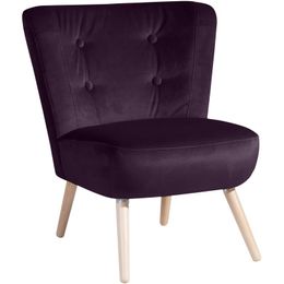 Max Winzer Sessel &raquo;Nikki, Loungesessel, Retro und modern, mit geschwungener R&uuml;ckenlehne&laquo; Knopfheftung, weicher Samtvelours in aktuellen Farben purple
